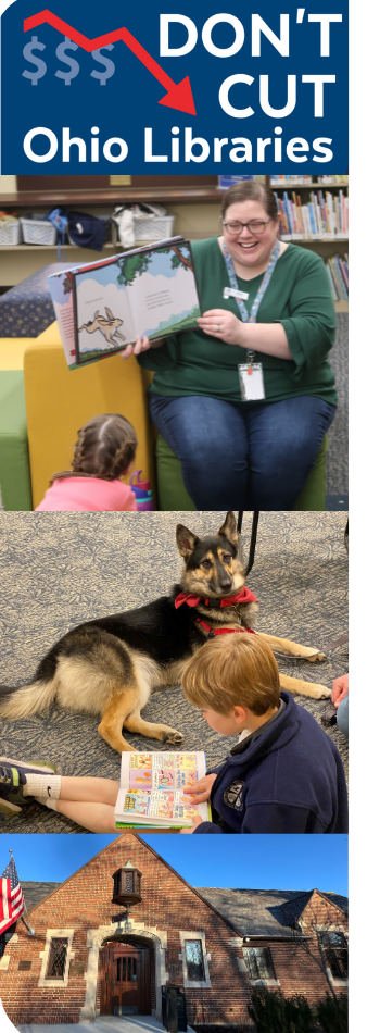 Protect the Public Library Fund | Wright Memorial Public Library